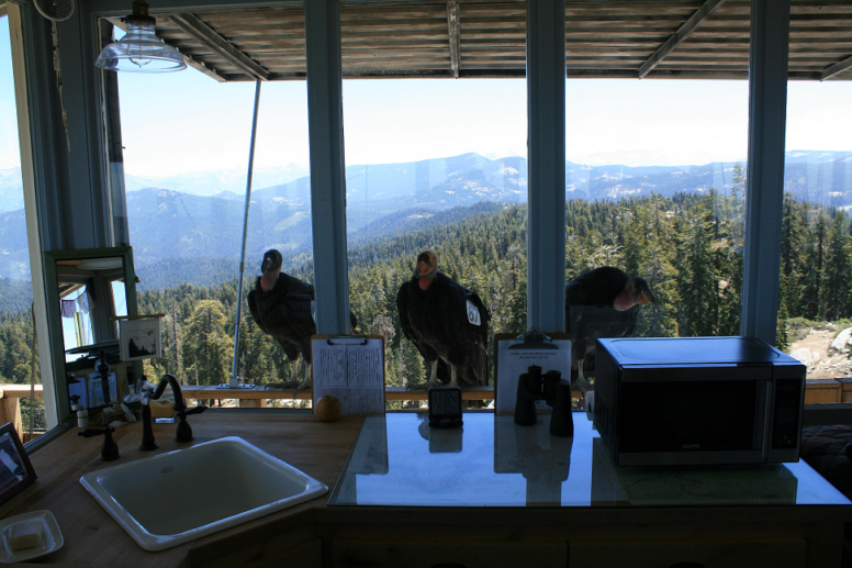 Buck Rock Lookout – Buck Rock Foundation